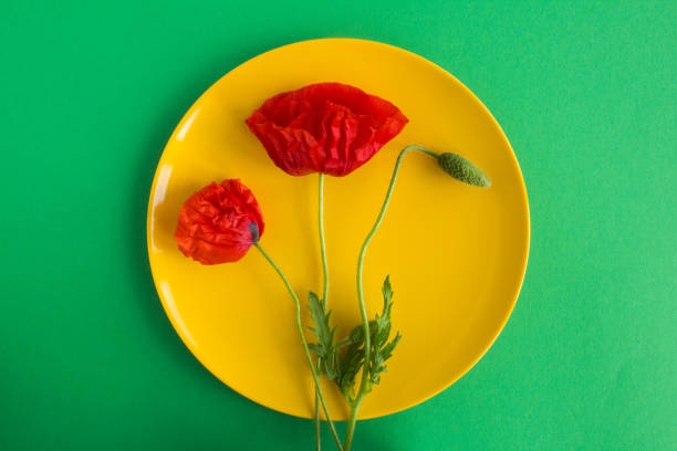 5 Best Food Selfie Viral Trends for National Selfie Day - Hogr Blog
