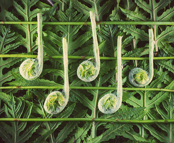 Harmonizing Your Taste Buds: 5 Musical-Inspired Recipes for World Music Day - Hogr Blog